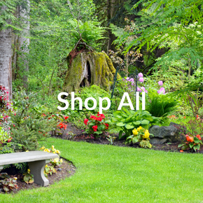 Shop All Perennial Varieties | J Parkers Dutch Bulbs