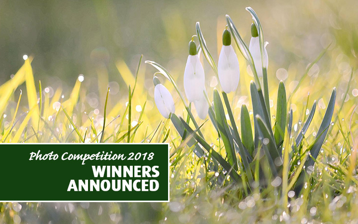 2018 Photo Competition Winners Announced - JParkers