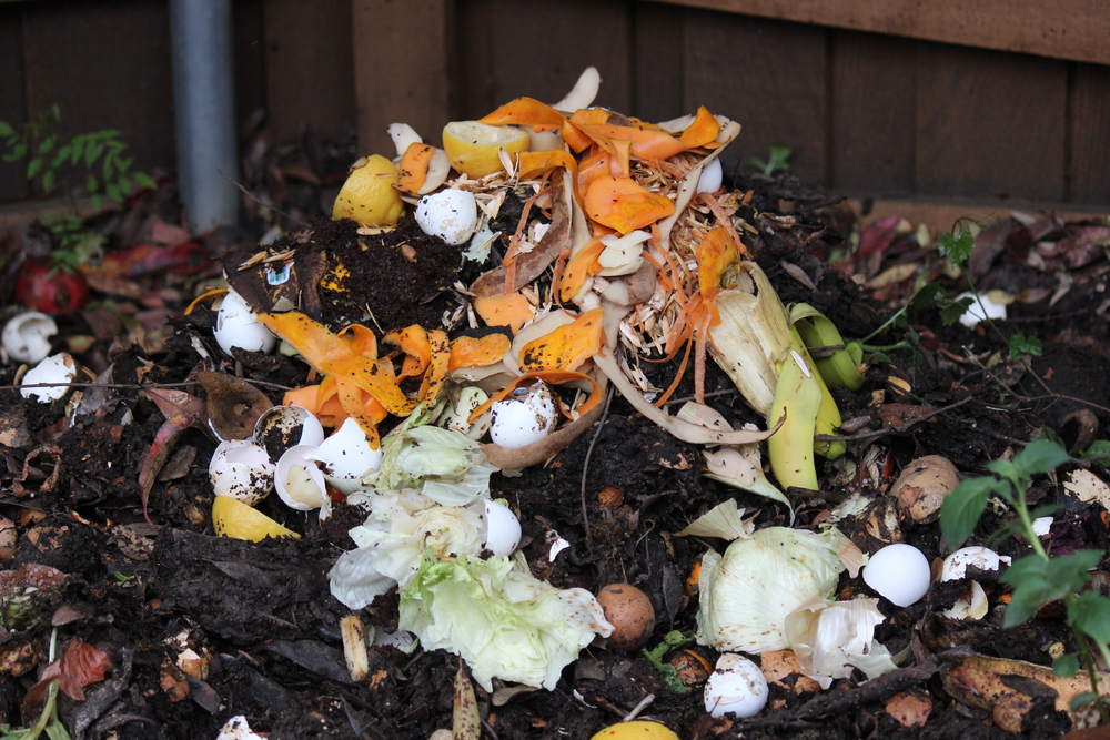 How to Compost at Home – Gardening for Beginners - JParkers