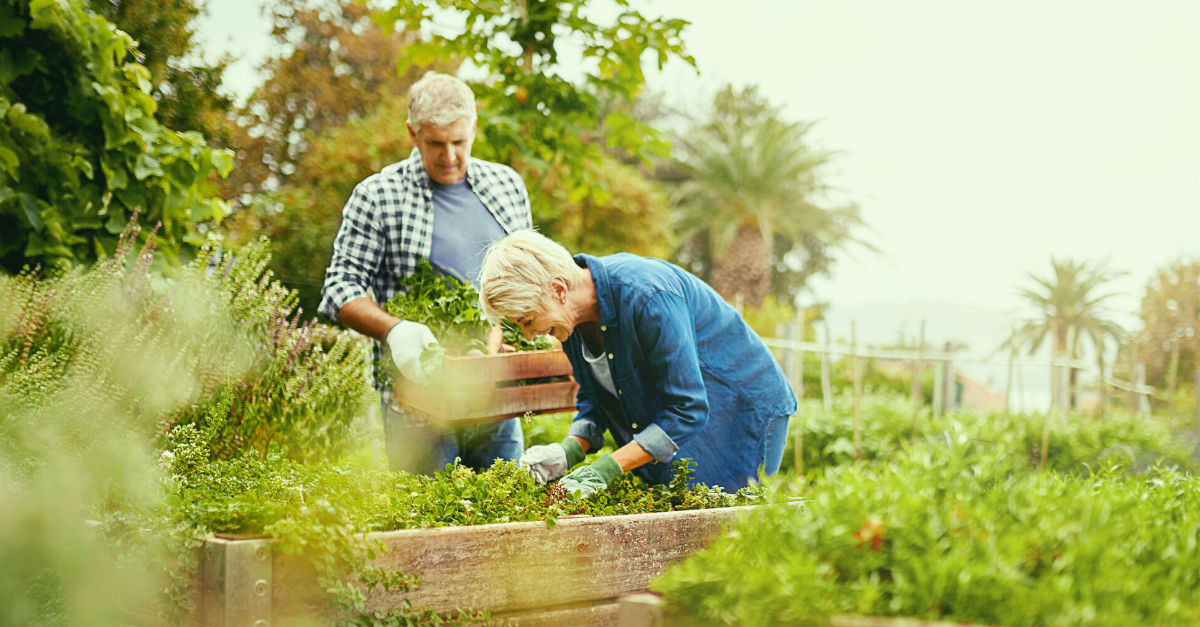 Gardening Jobs for April - JParkers