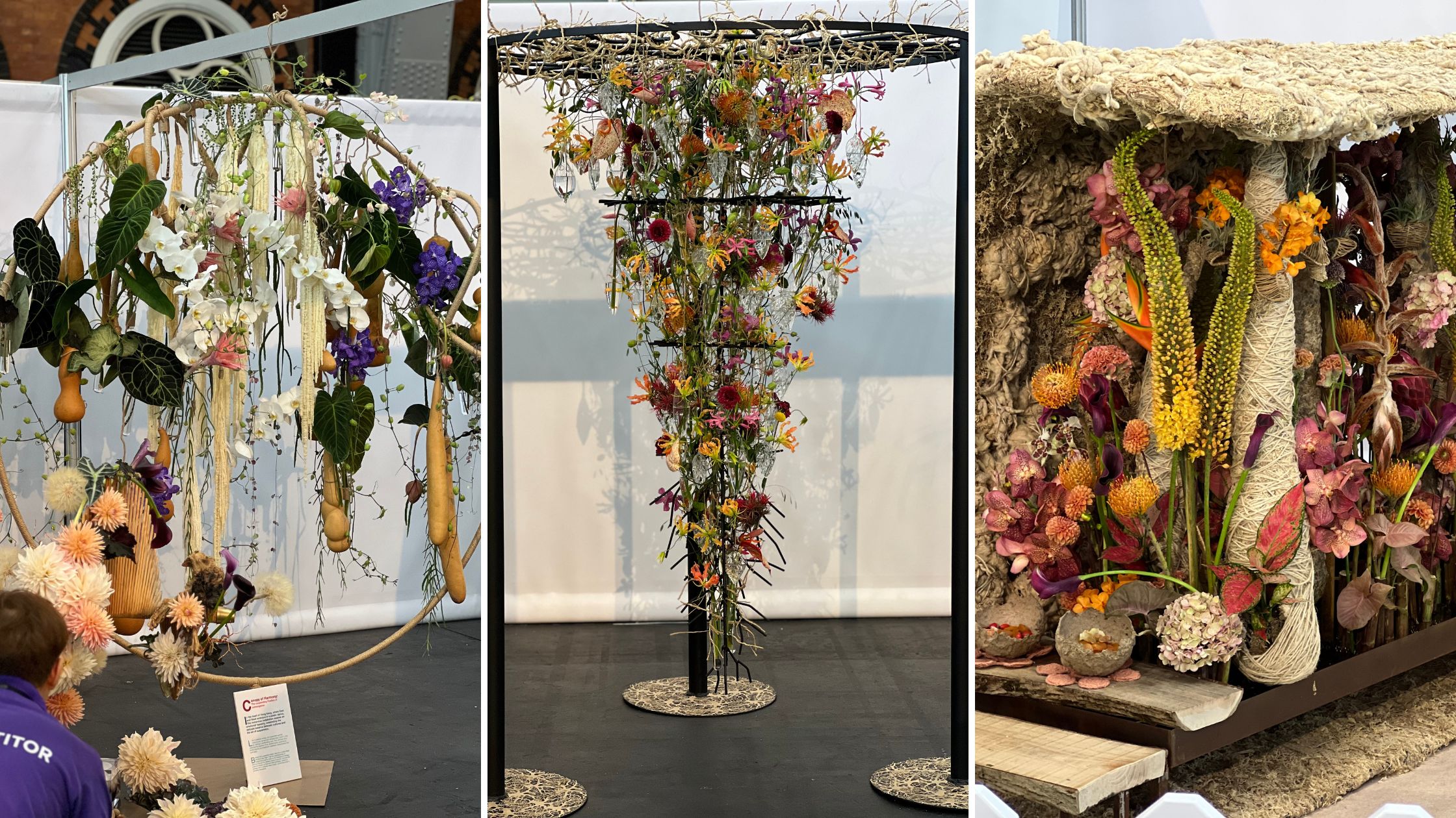 The World's Biggest Floristry Competition Came to Manchester! - JParkers