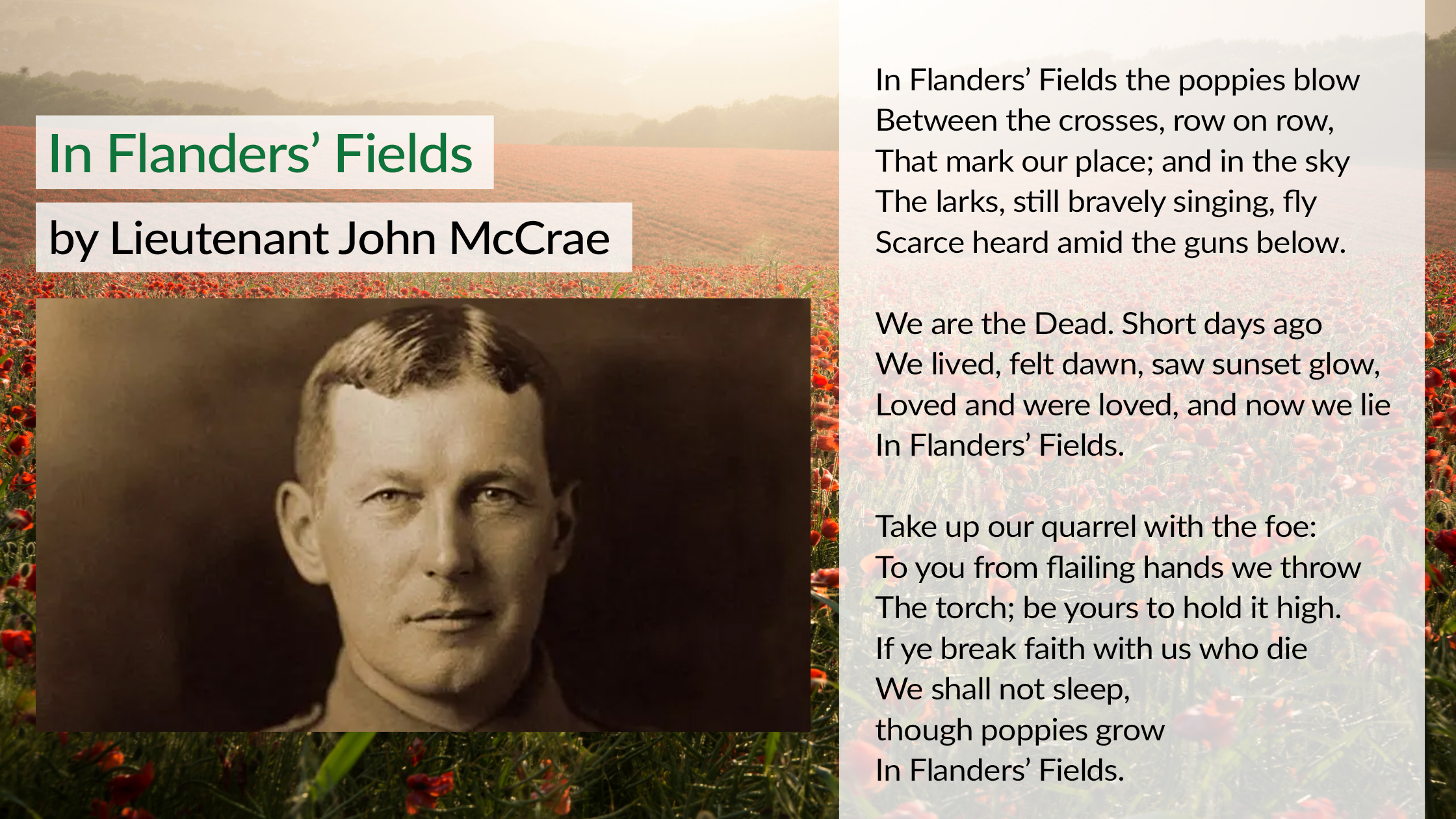 History of the Poppy Appeal - A Symbol of Remembrance - JParkers