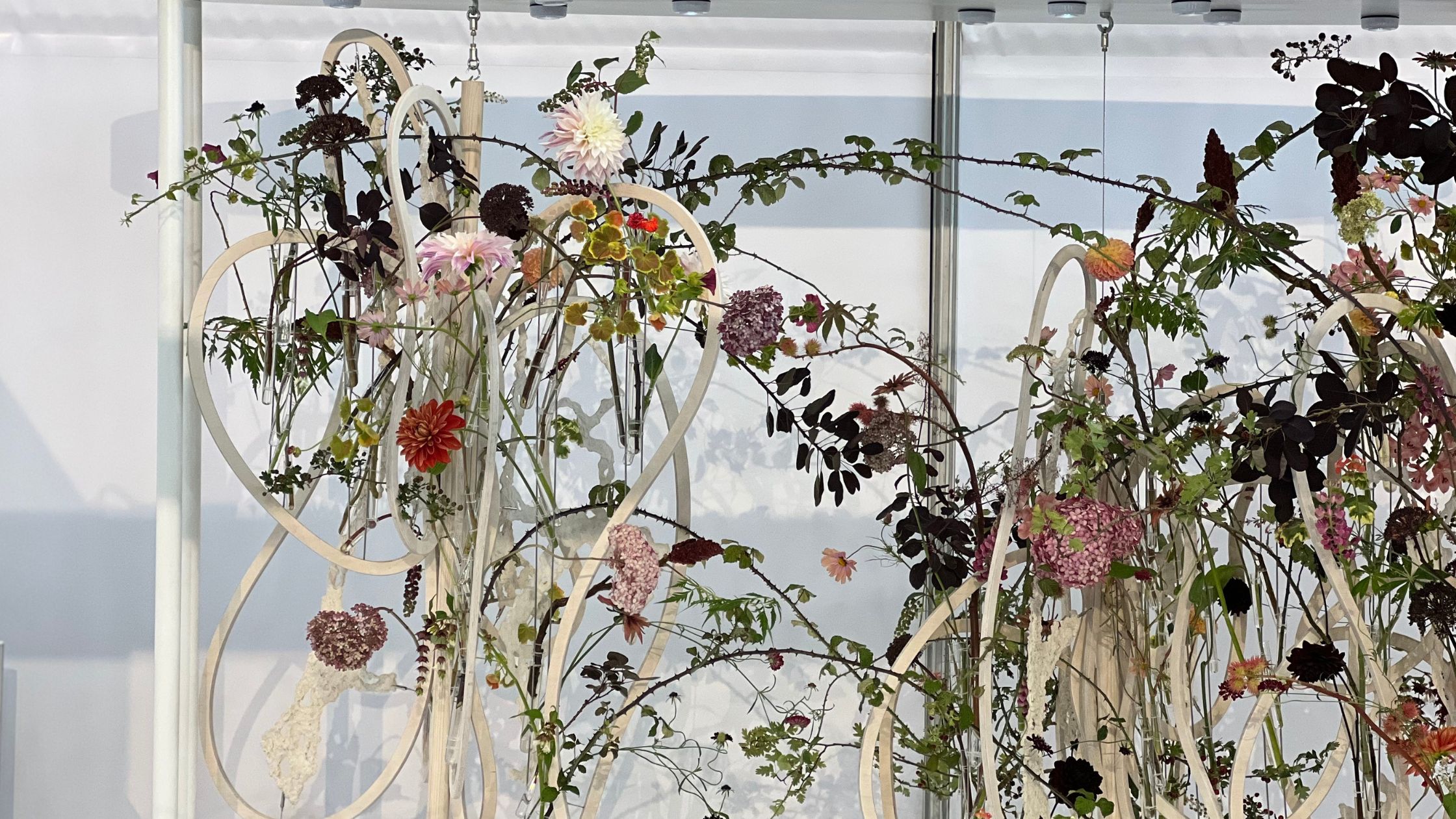 The World's Biggest Floristry Competition Came to Manchester! - JParkers