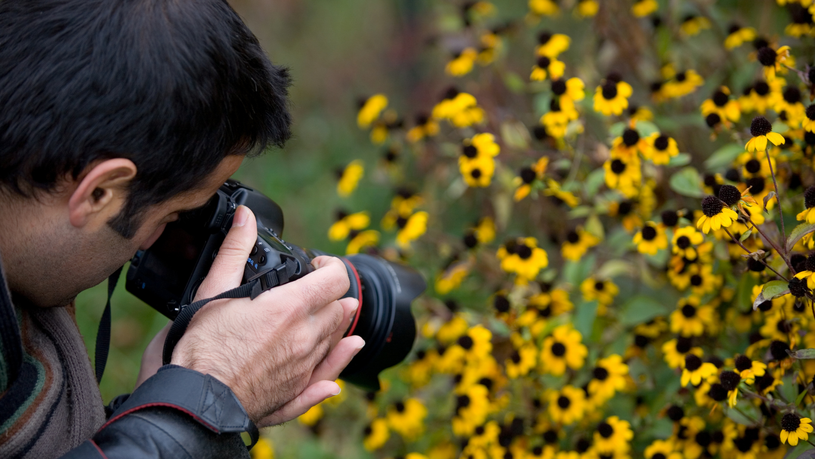 Spring Photo Competition 2021 - JParkers