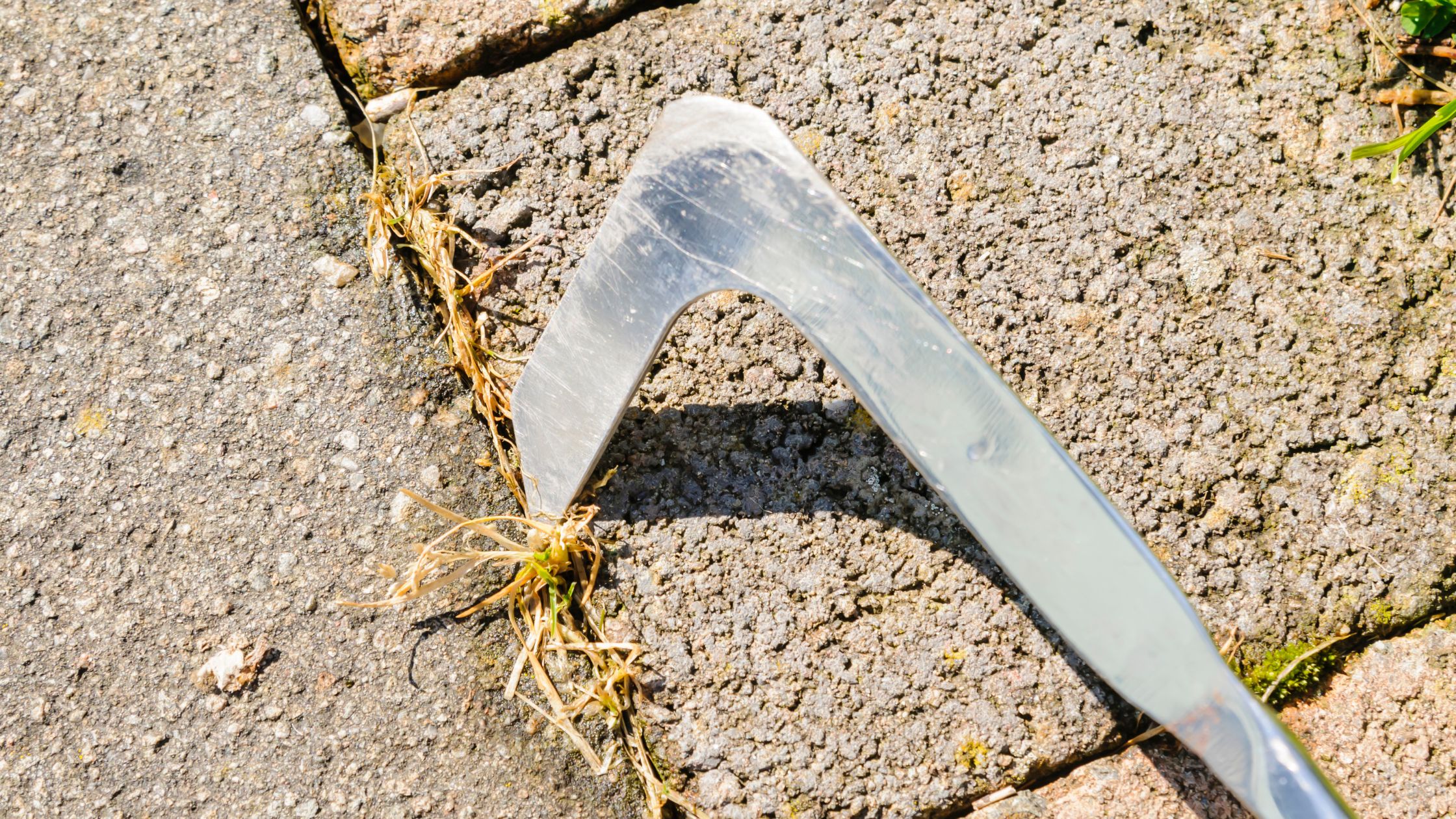 How to Get Rid of Weeds Permanently - JParkers