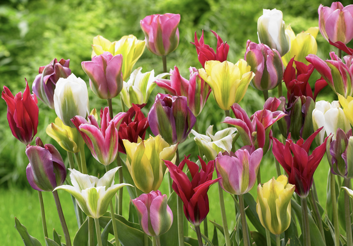 Our Highlights from 2021 - JParkers