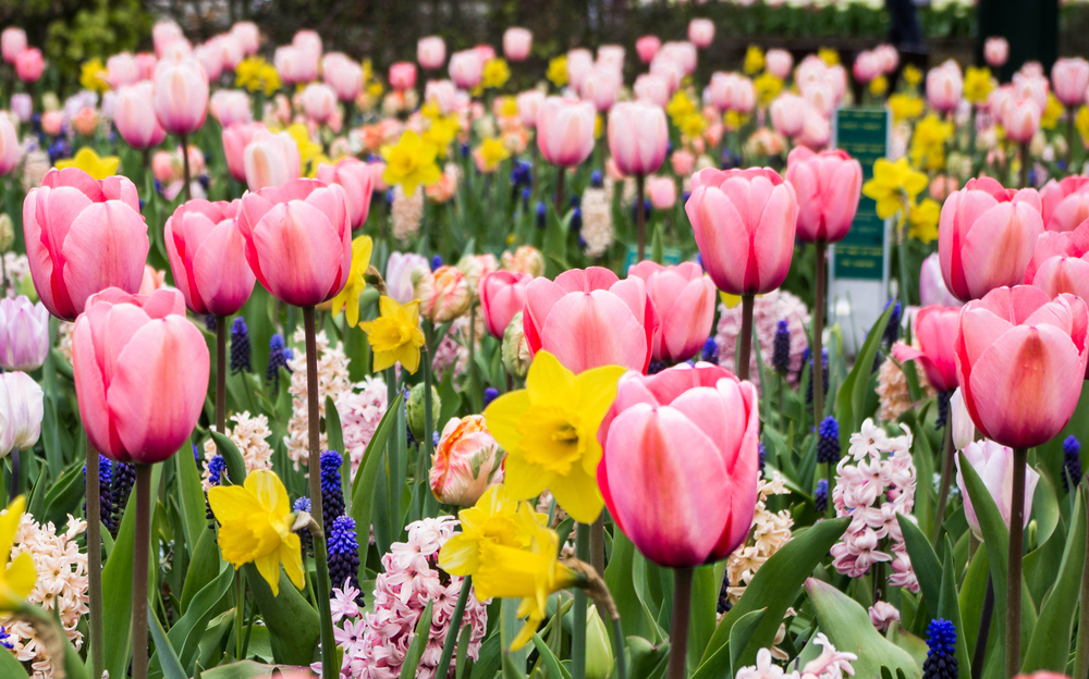 Our Predictions for Spring 2024 - JParkers