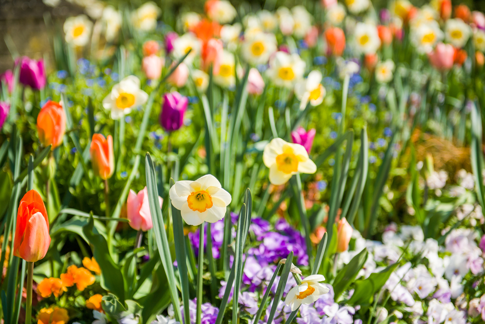 Our Predictions for Spring 2024 - JParkers