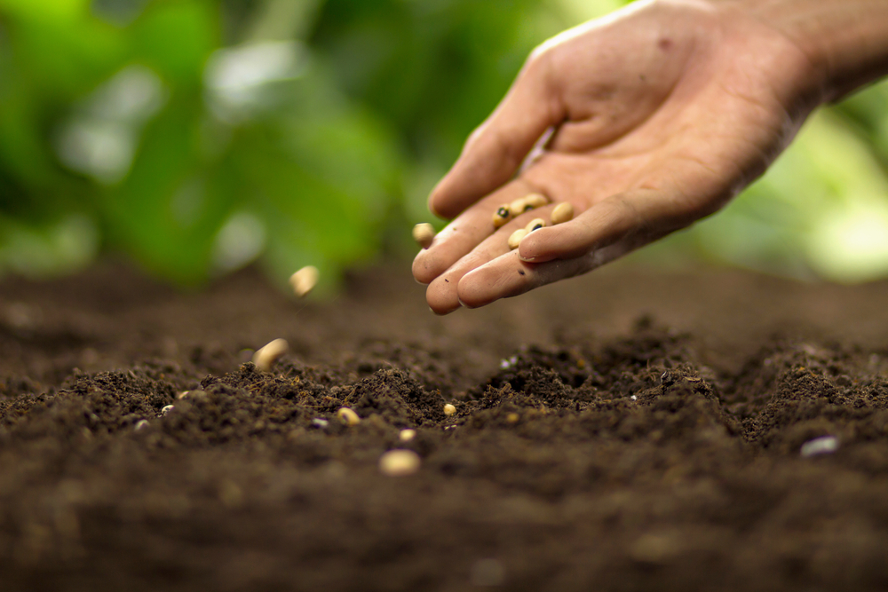 NEW to J. Parker’s - Seeds, Seeds, Seeds! - JParkers