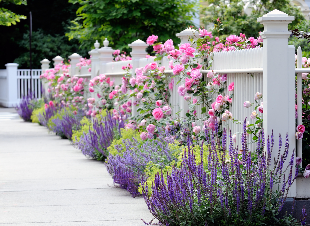 Trending Bedding Colour Schemes for Summer - JParkers