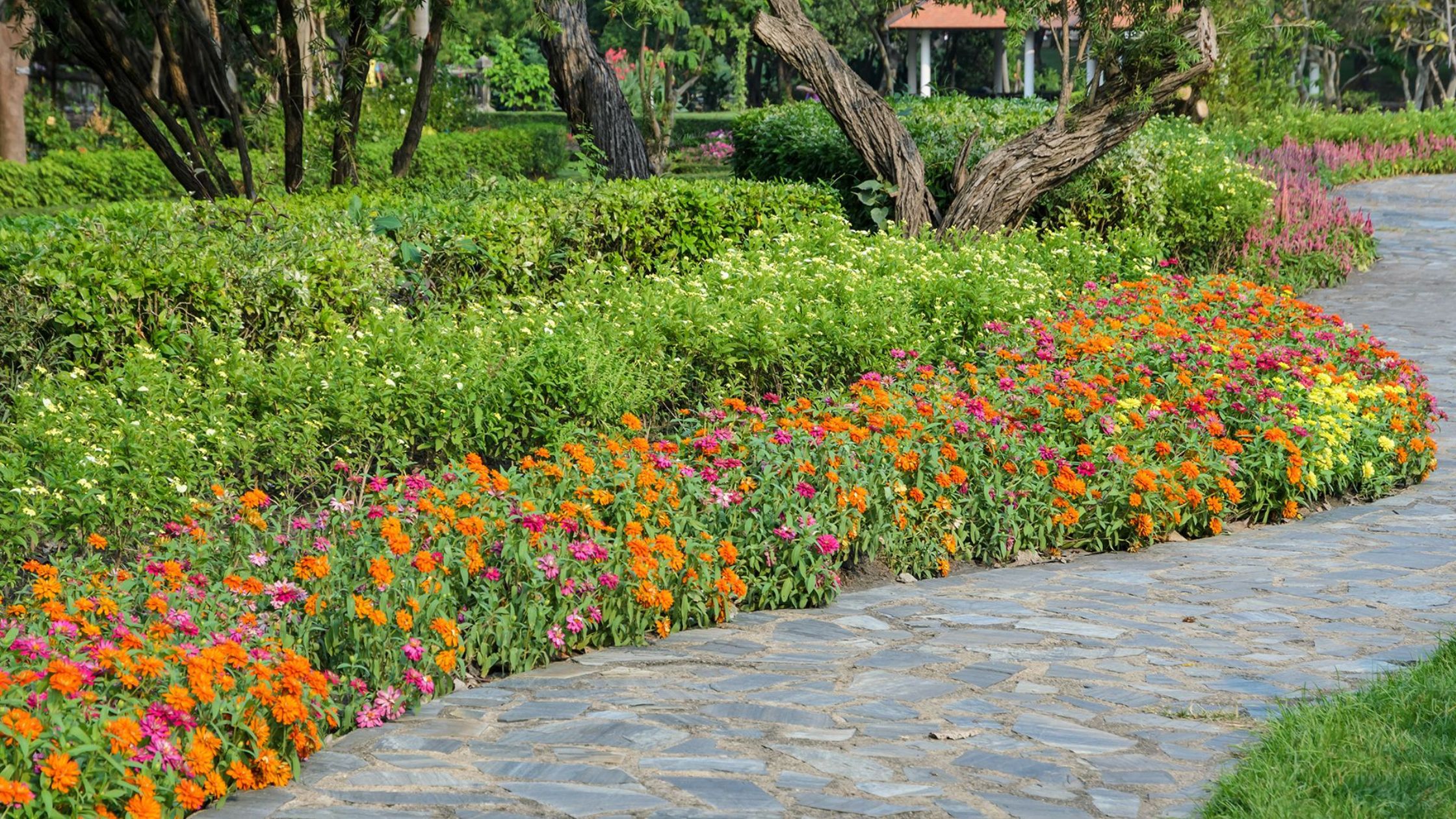 Greek Inspired Gardens – Mediterranean Planting & More! - JParkers