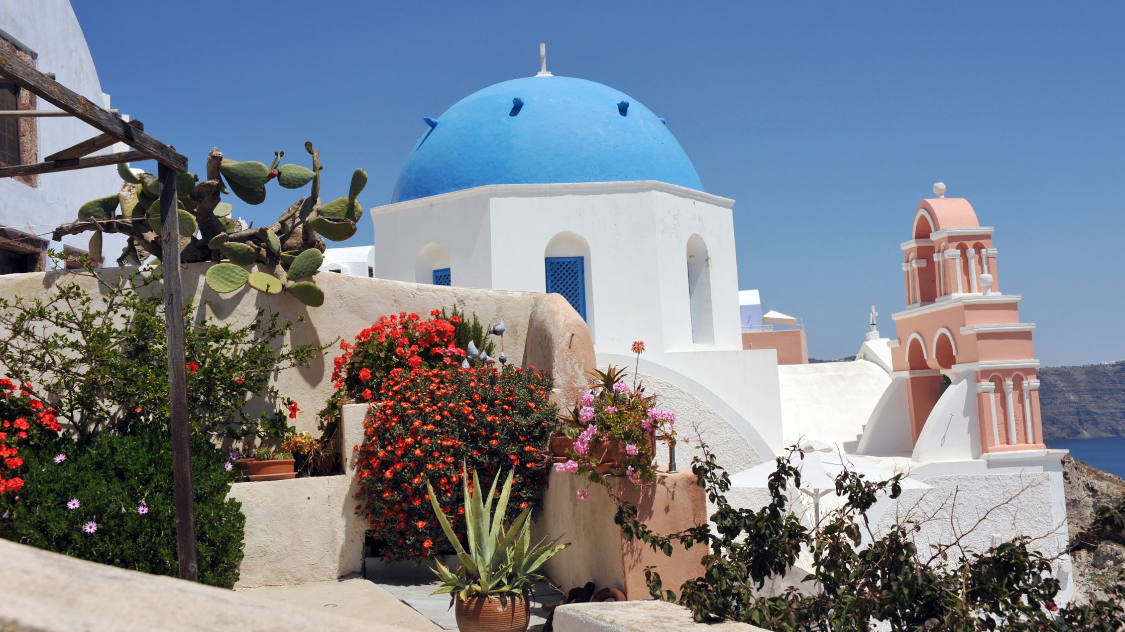 Greek Inspired Gardens – Mediterranean Planting & More! - JParkers