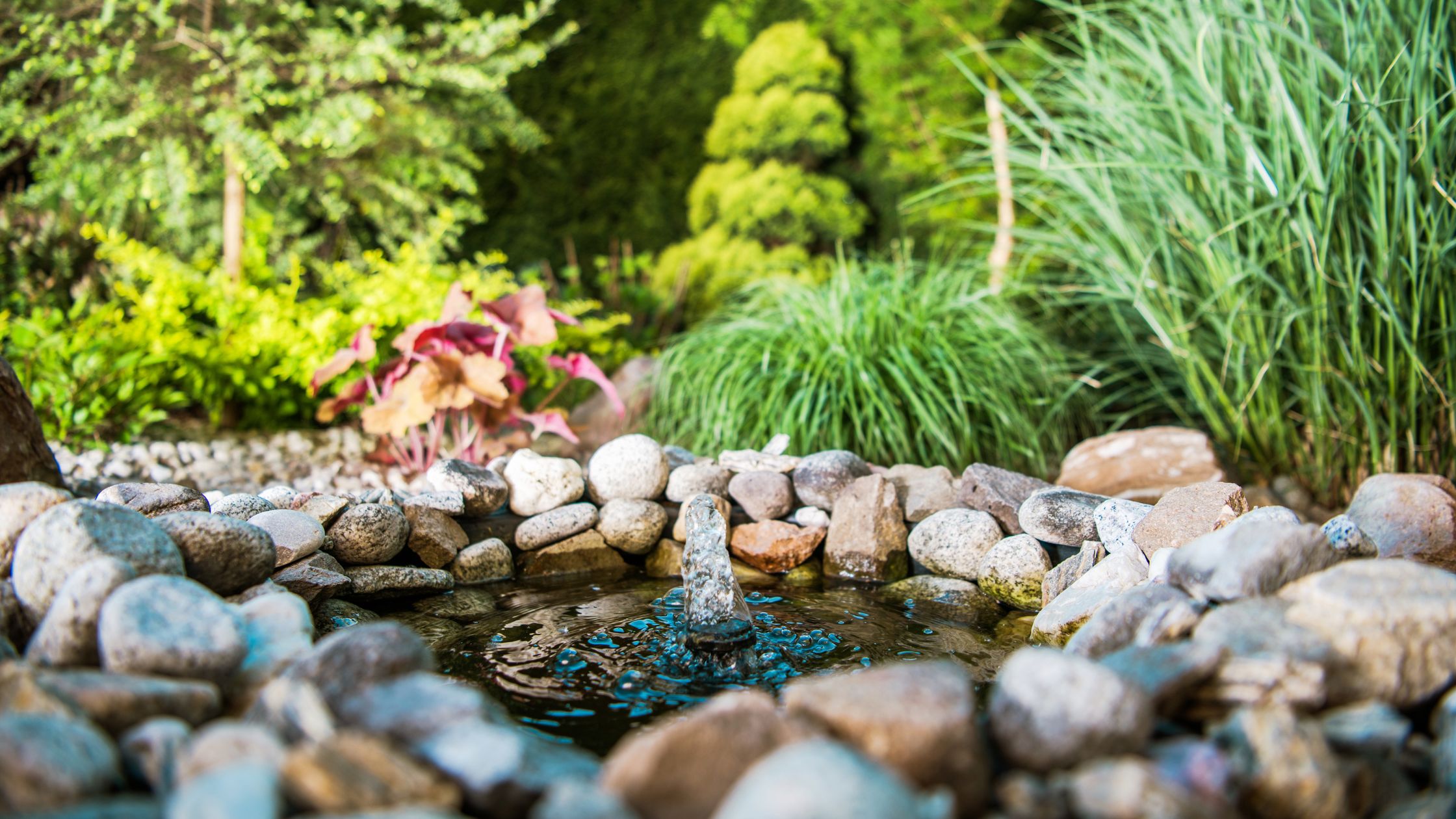 6 Ways to Create a Wildlife Garden - JParkers